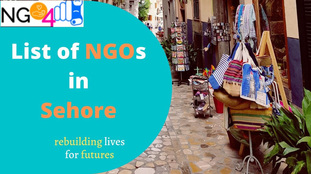 NGO in Sehore 45+ Organizations to Improve Quality of Life