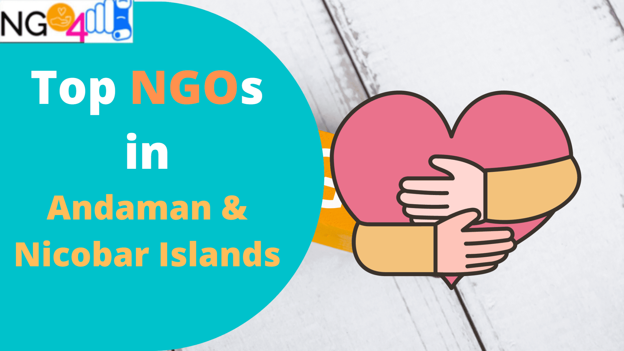 Comprehensive List Of Top NGOs In Andaman & Nicobar Islands