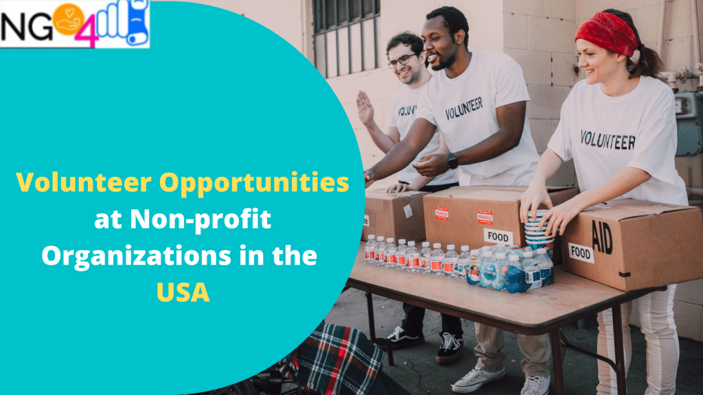 Volunteer Opportunities at Non-profit Organizations in USA