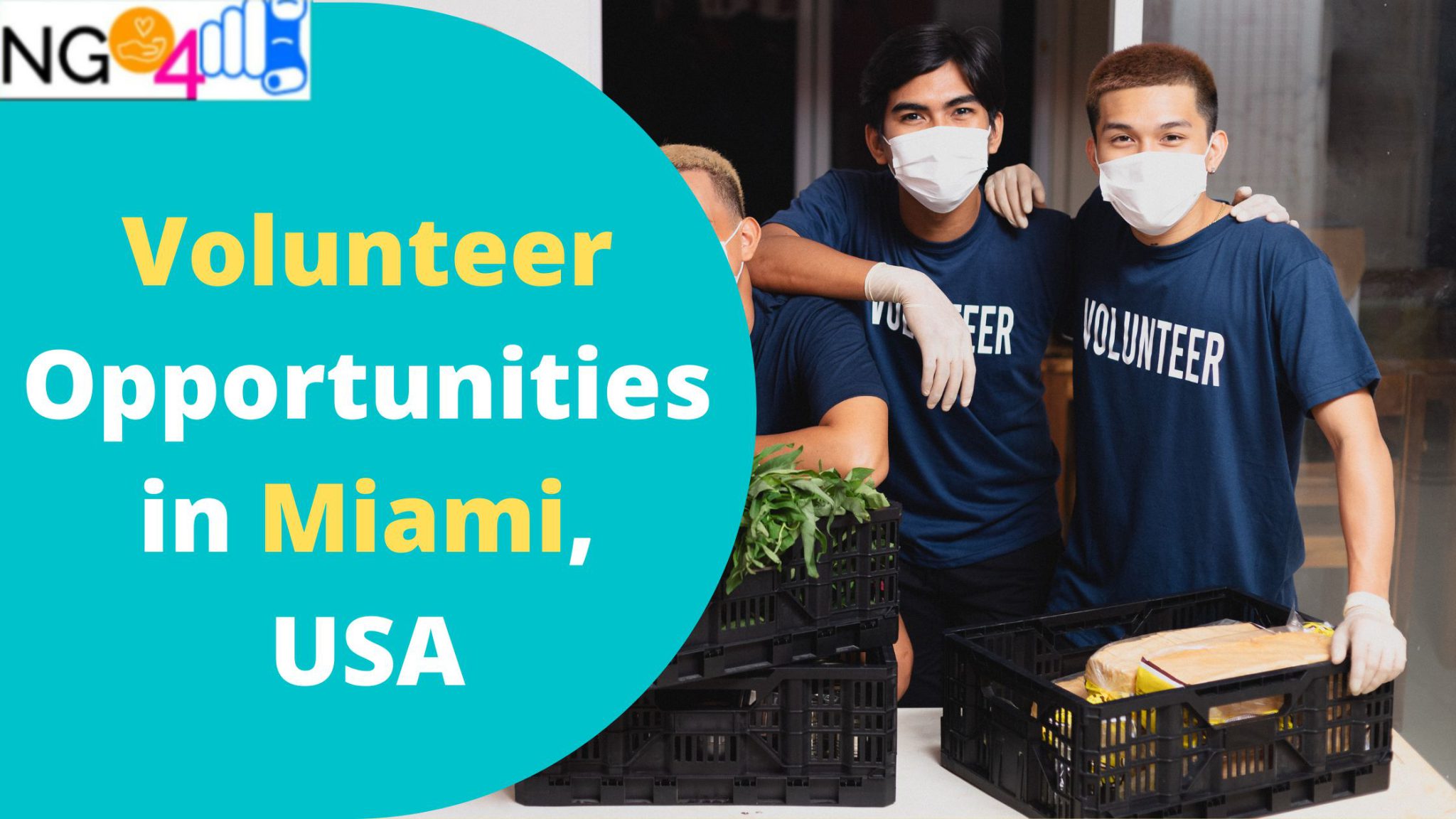 Find Volunteer Opportunities in Miami with Non-profit or Food Banks