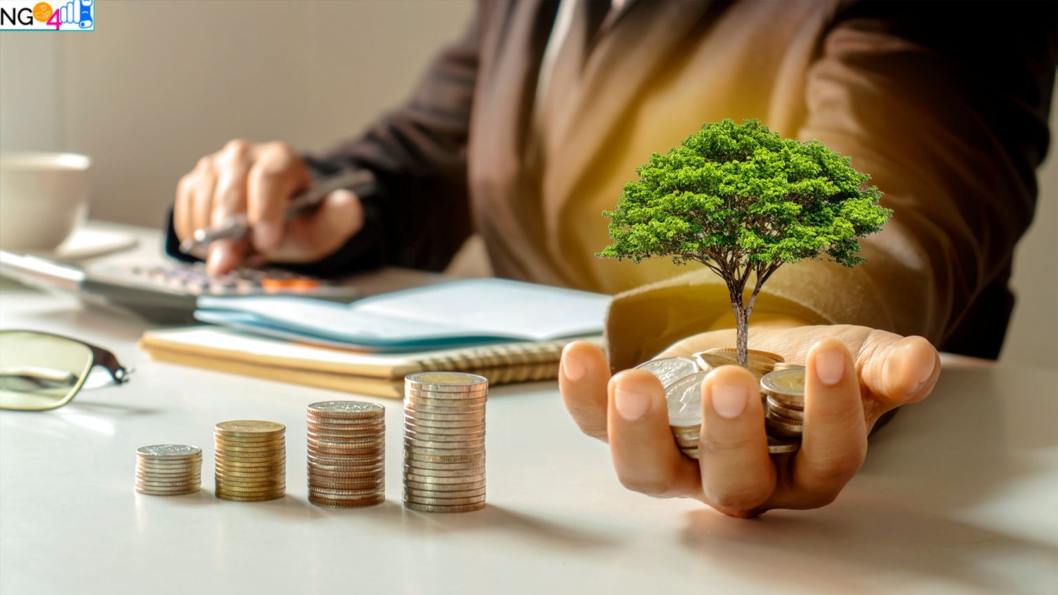 What is a Non Profit Organization? Types, Goal and More